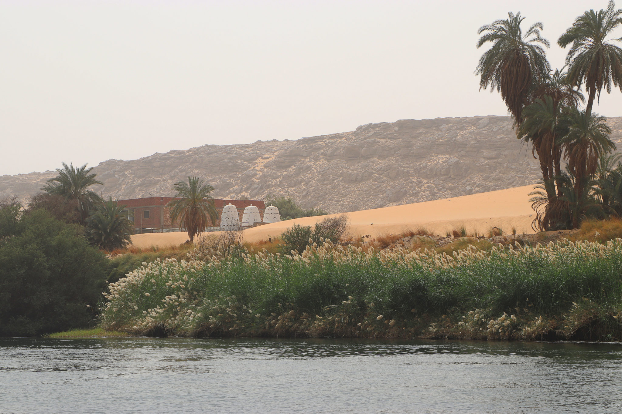 Deux jours de Felouque au fil du Nil : d’Assouan à Kôm Ombo ...